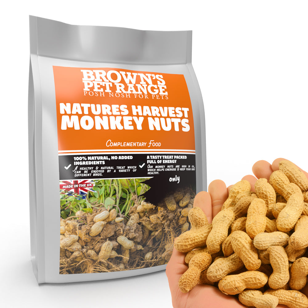 Growing Monkey Nuts Peanuts Clipart